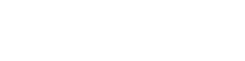 wpX Speedとは？WordPress専用クラウドサーバーの全貌【2025年最新版】 | e-エンジニア